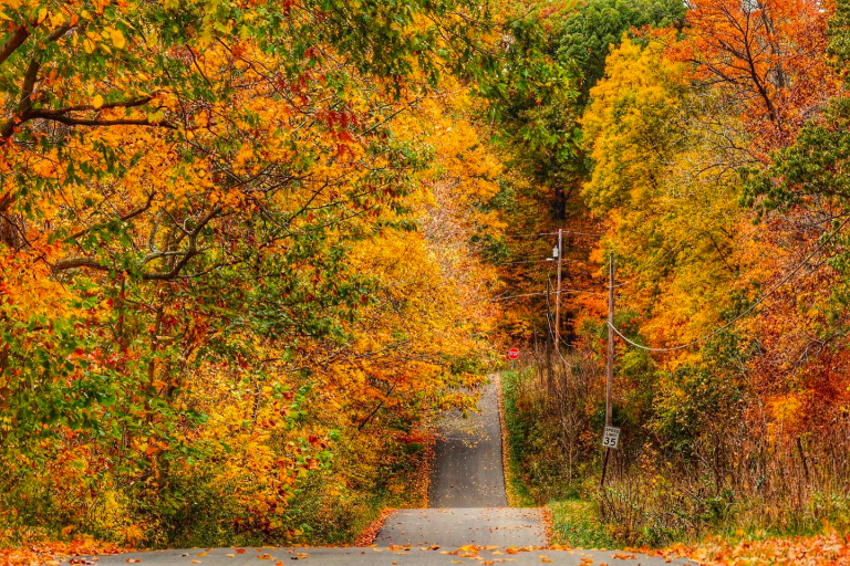 2024-2025 Chapels – Taylor University Chapel